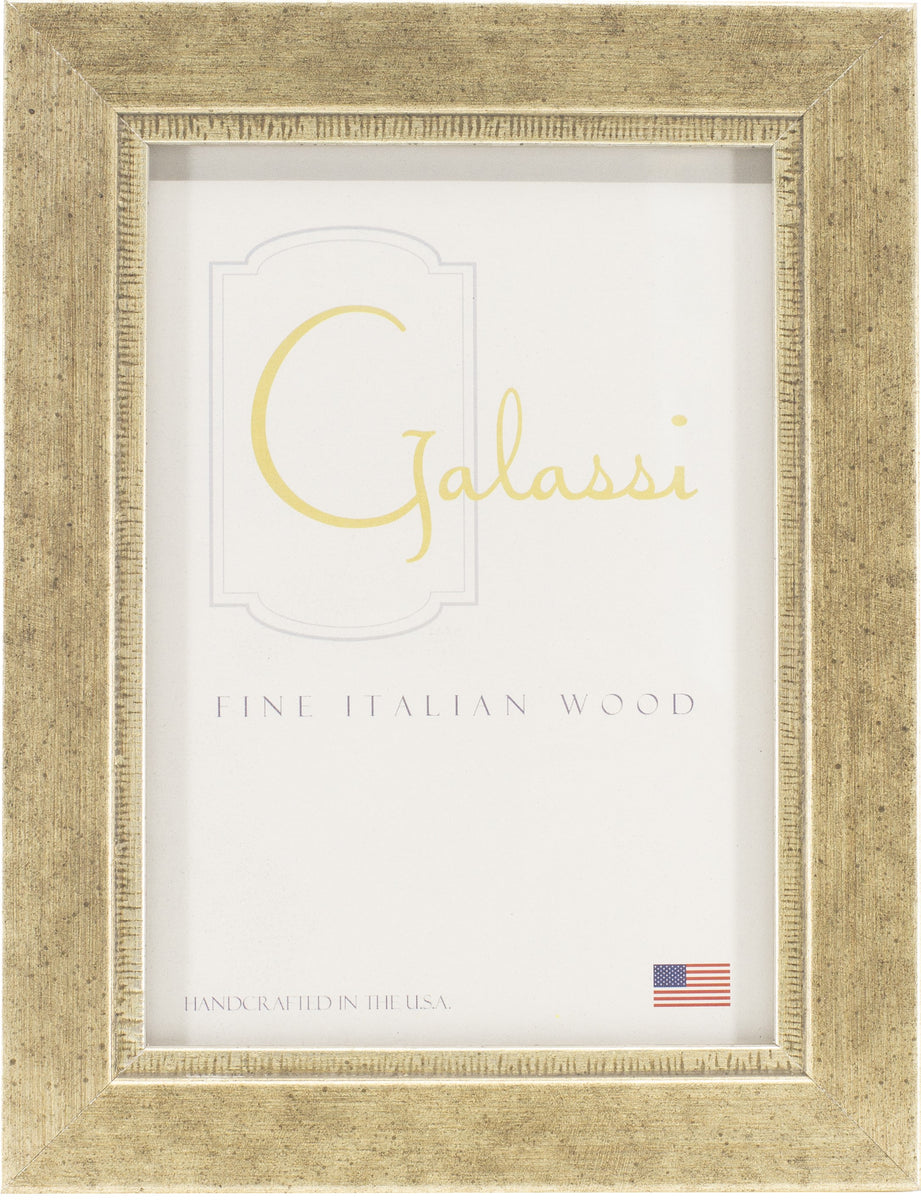 Galassi Opera Silver Wood Frame – AURALUZ